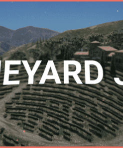 DRC Scripts - FiveM Tebex..